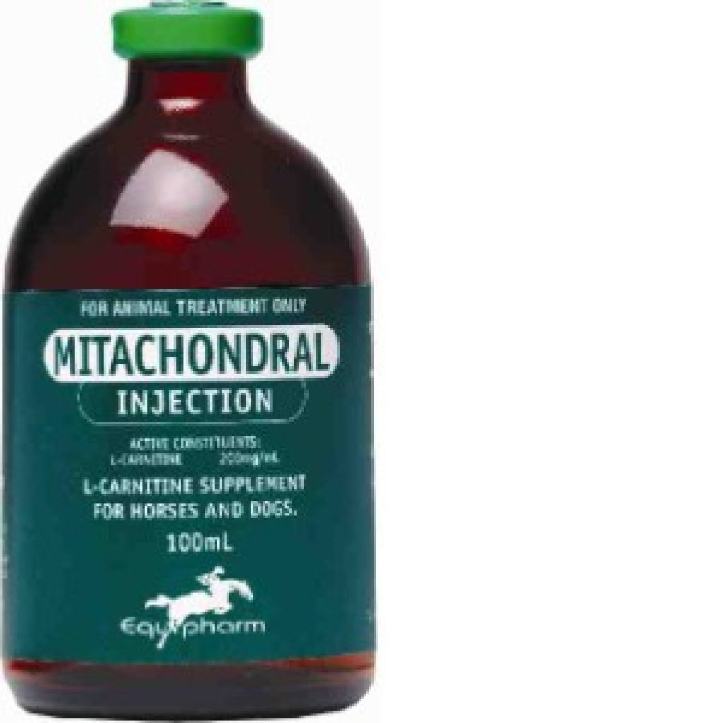 MITACHONDRAL INJECTION 100ML is a combination of amino acids